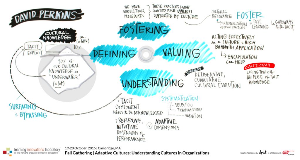Understanding Culture by David Perkins